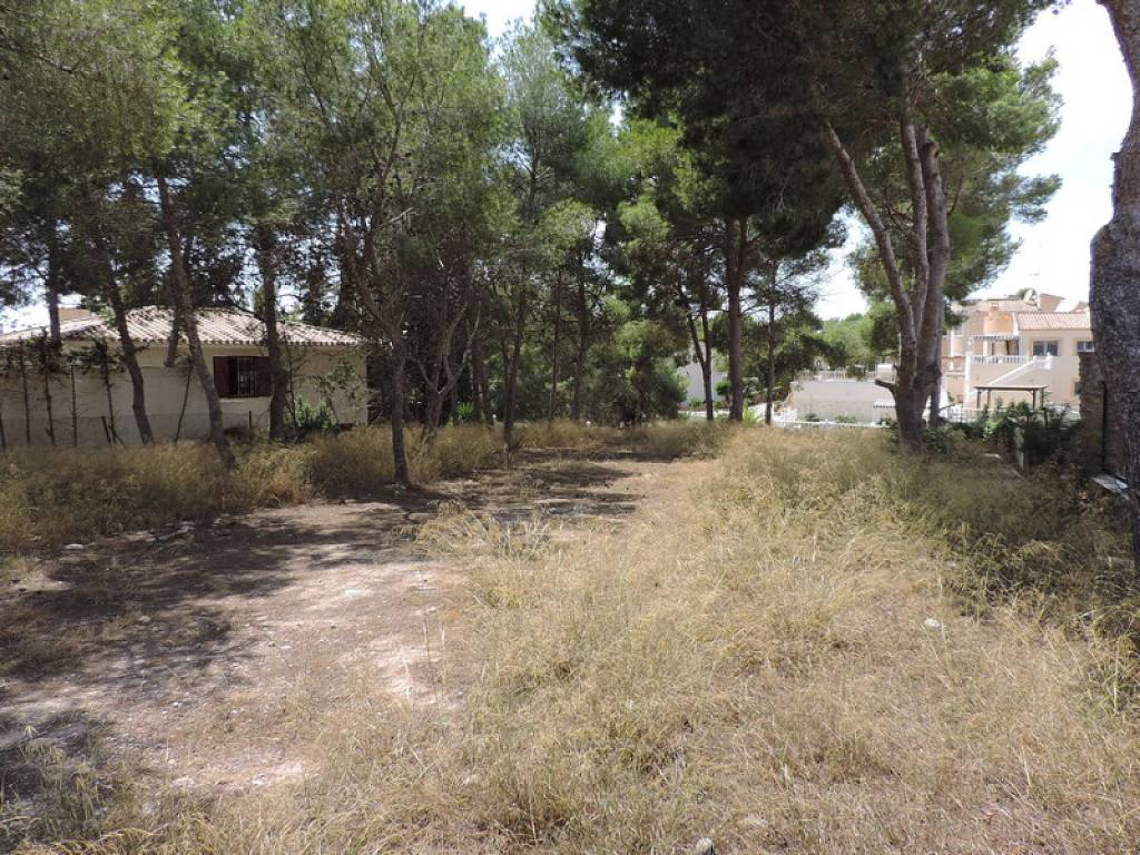 Terreno rústico, Pilar de la Horadada, ref. 98922094 - Indomio.es