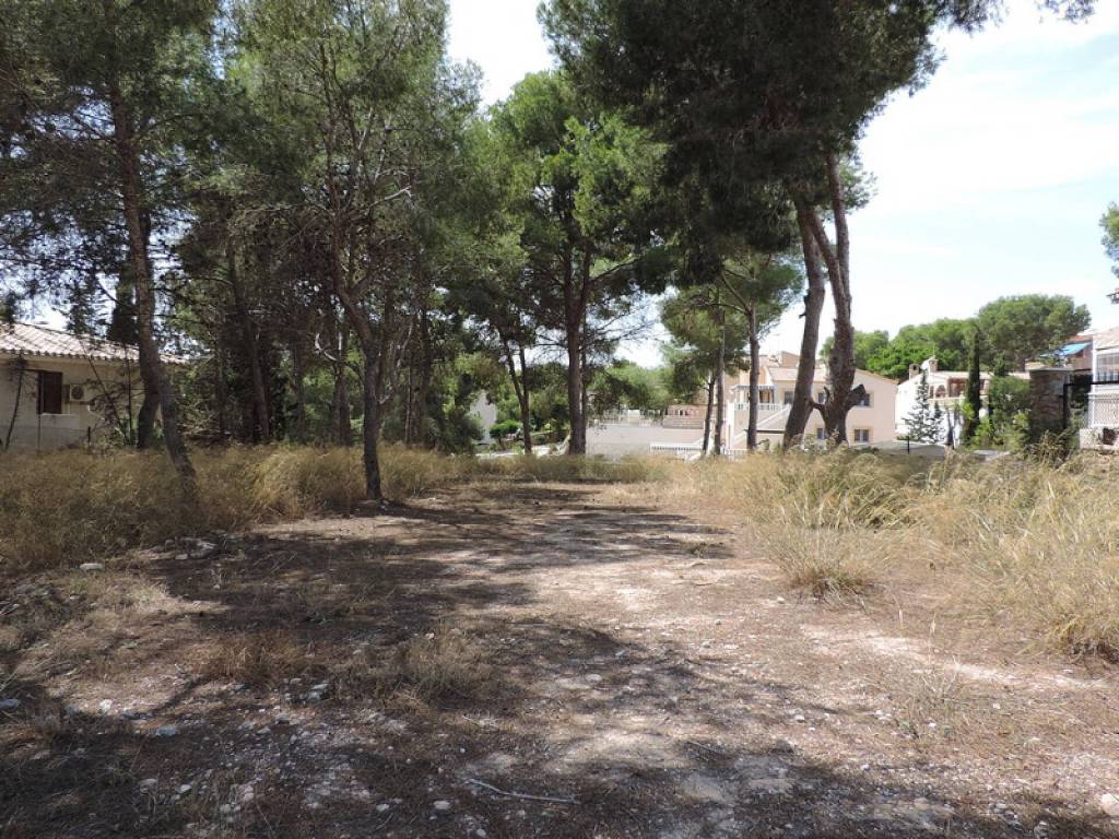 Terreno rústico, Pilar de la Horadada, ref. 98922094 - Indomio.es