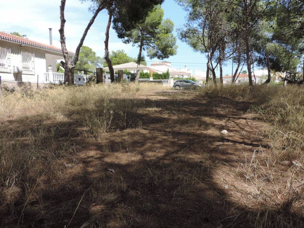 Terreno rústico, Pilar de la Horadada, ref. 98922094 - Indomio.es